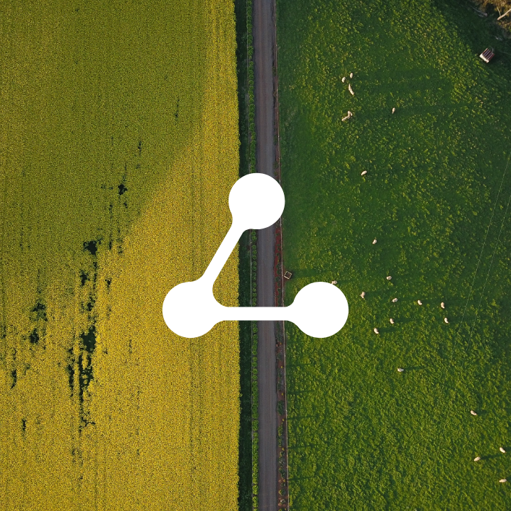 Litmaps Spotlight – Litmaps Design